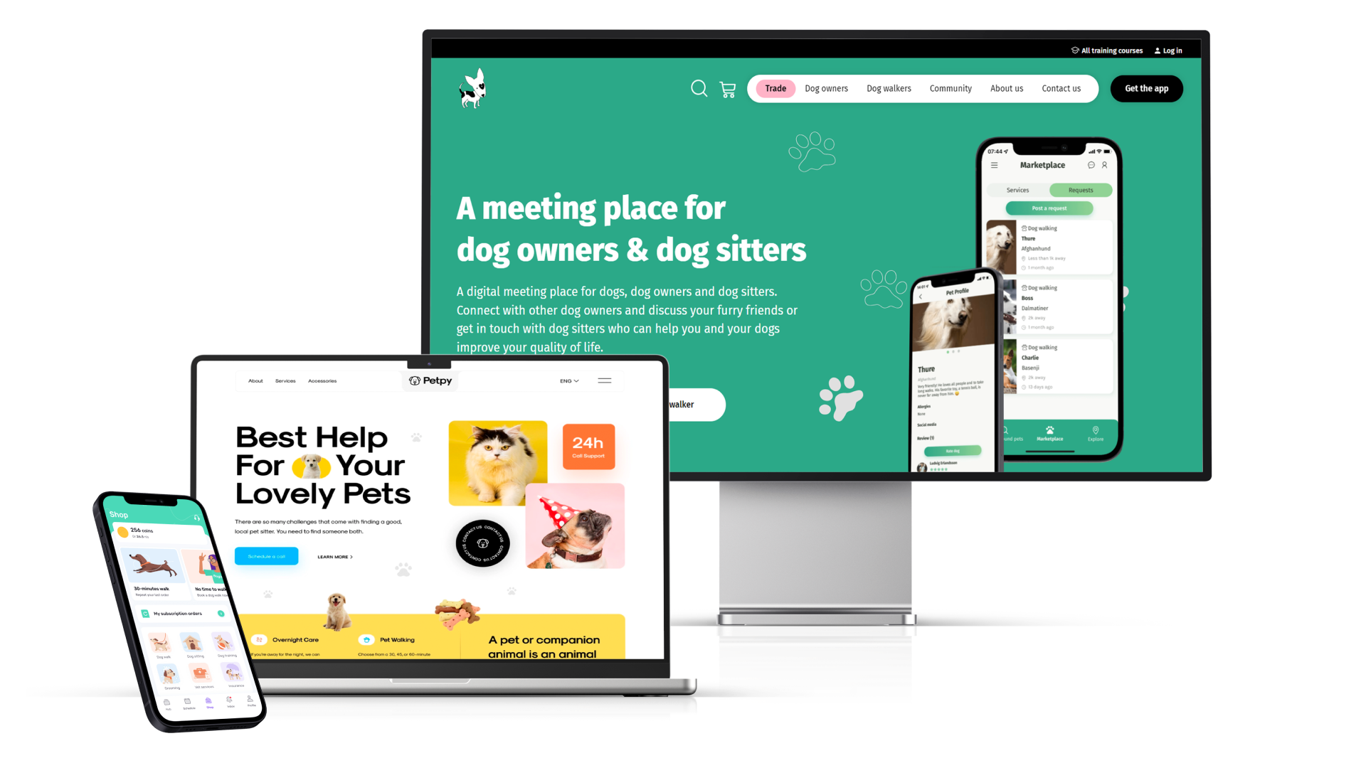 Development of a pet sitter services